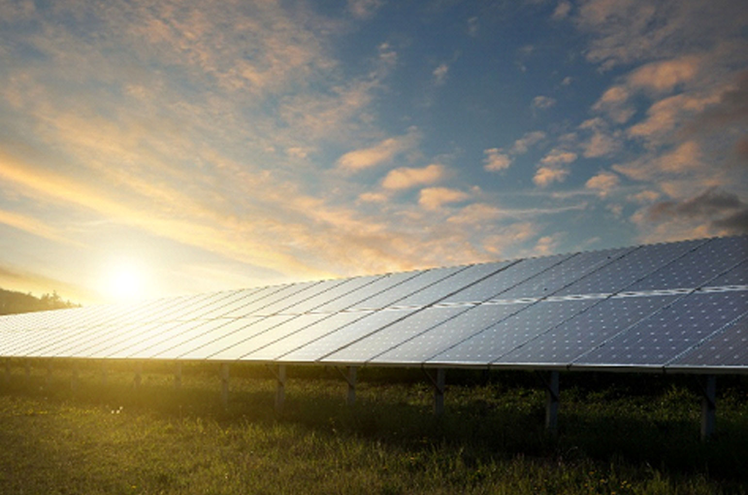 Integrating ESG Principles Into Your Business – The Carbon Collective ...