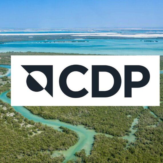 CDP reporting in 2026: Why companies need to take it seriously