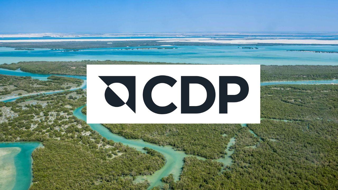 A guide to CDP reporting for 2025